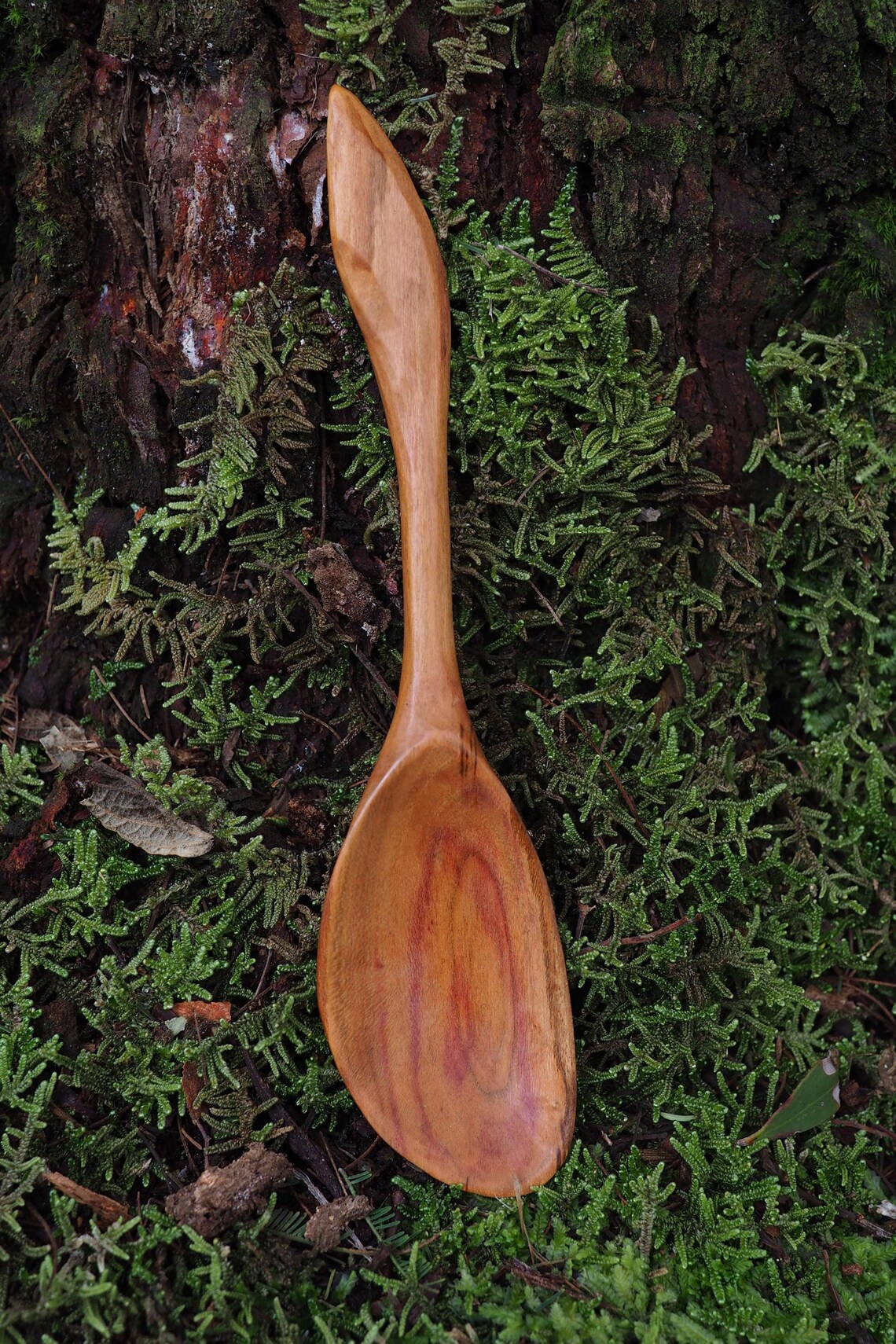 Hand Carved Wooden Spoon, Plum Wood Foraged, Organic Utensil, Crafted ...