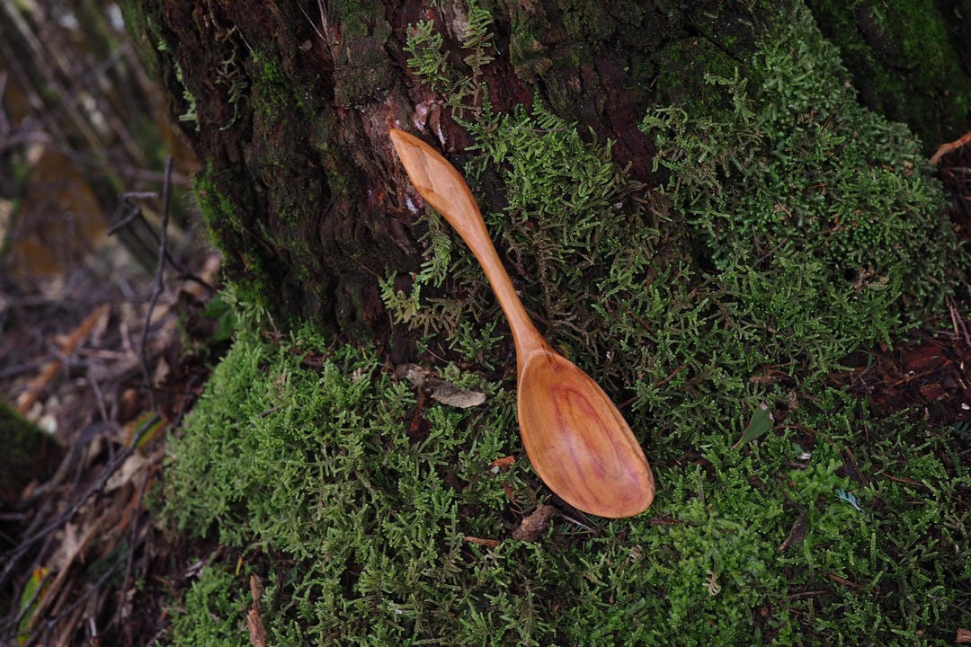 Hand Carved Wooden Spoon, Plum Wood Foraged, Organic Utensil, Crafted ...
