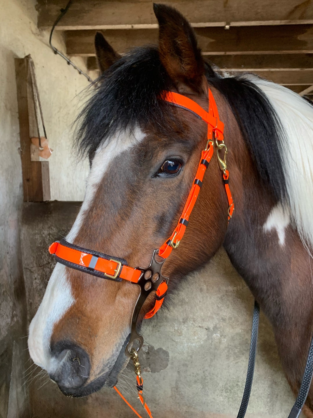 Perfeq Biothane, English, Hackamore, Bitless in High Visibility Neon ...