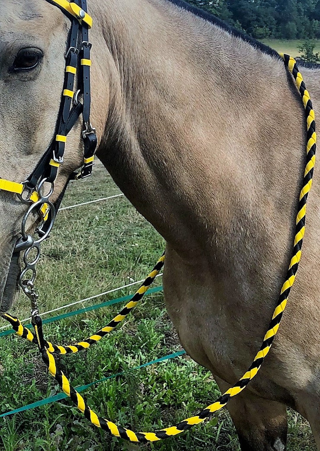 Perfeq Plaited Rope Reins Black and Yellow - Etsy