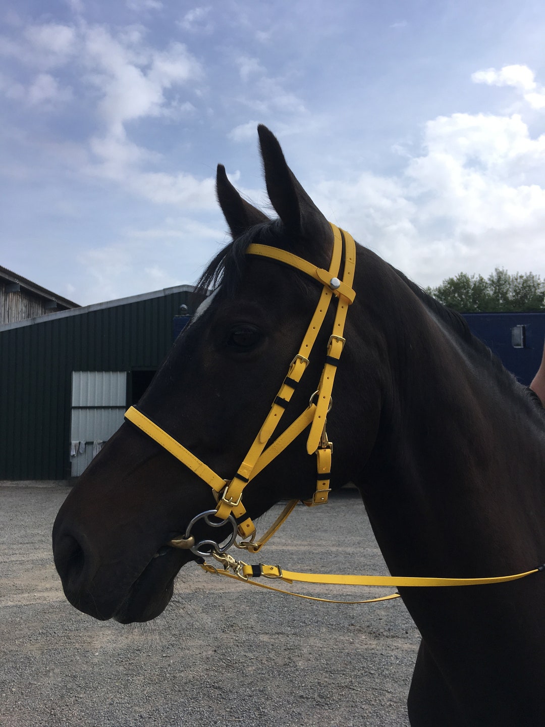 2 Part Synthetic Padded Brow and Noseband Biothane Bridle in Matt ...