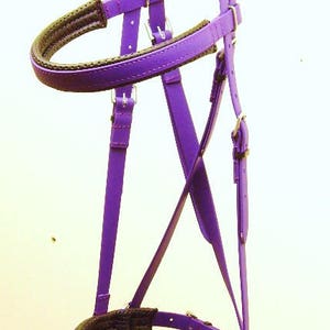 Perfeq Cross Under Bitless Bridle - Etsy