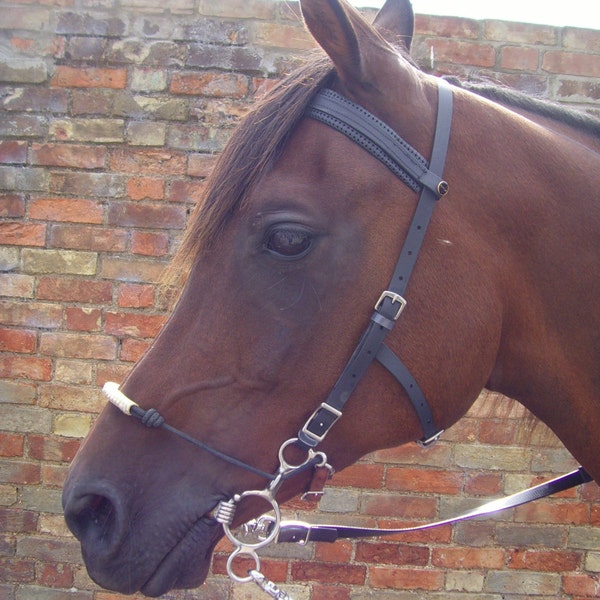 Bridle Bits - Etsy