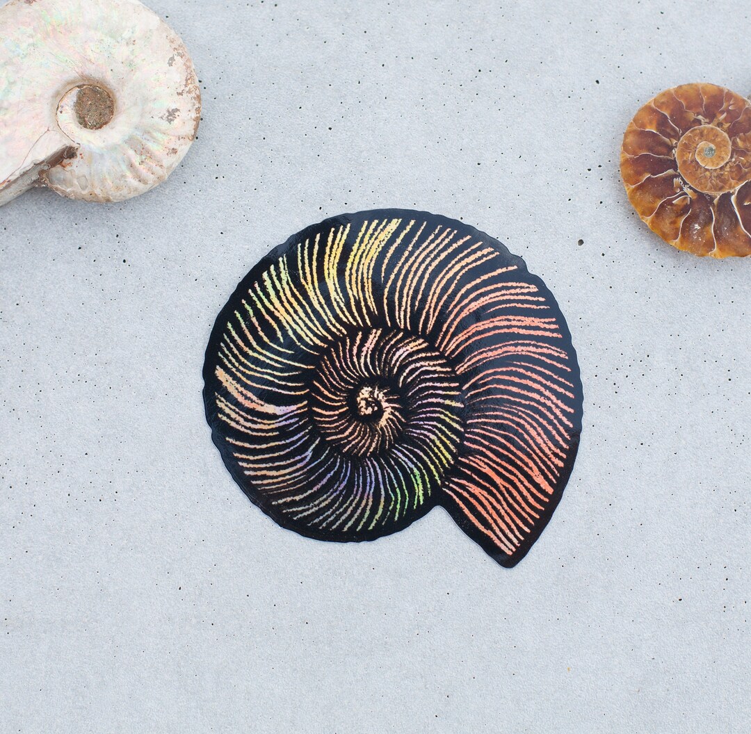 Ammonite Holographic Sticker - 3x3, Vinyl, Geology, Fossil, Mineral ...