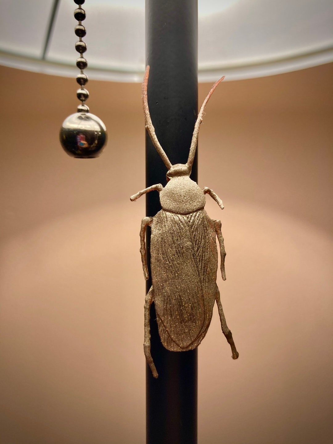 Cockroach Magnet - Etsy
