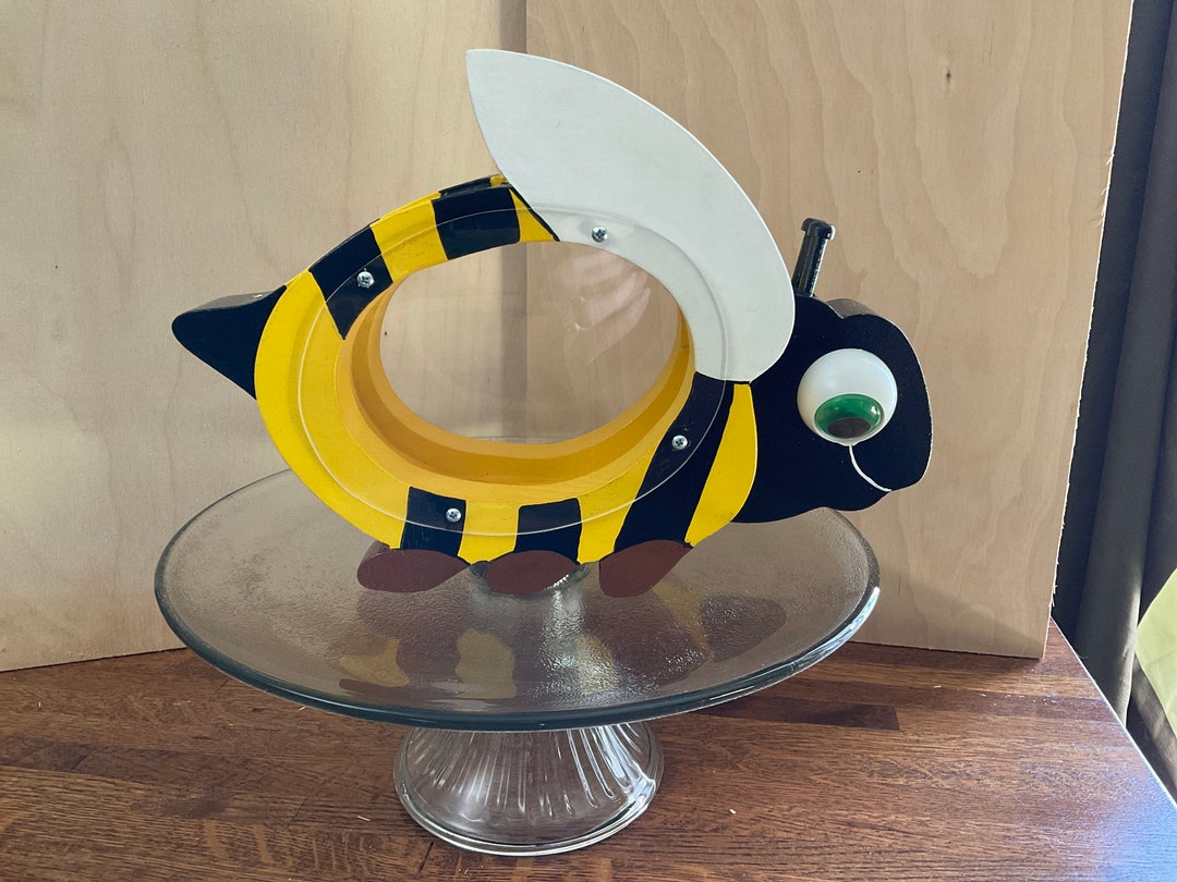 Bee Bank Wooden Handcrafted. Clear Sides. Great for Christmas, Birthday ...