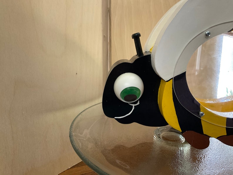 Bee Bank Wooden Handcrafted. Clear Sides. Great for Christmas, Birthday ...