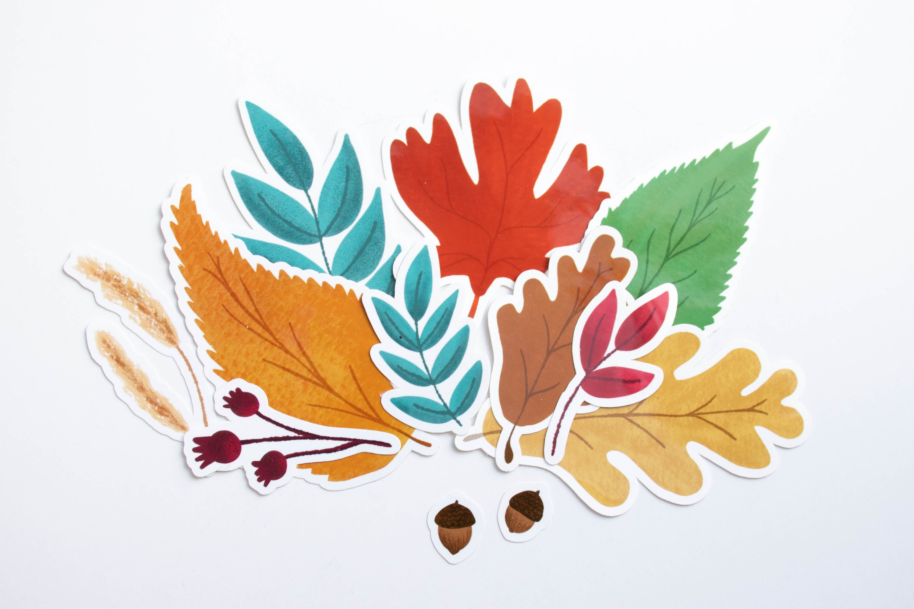12 Fall Leaf Decals Vinyl Fall Leaf Sticker Set Die Cut Etsy