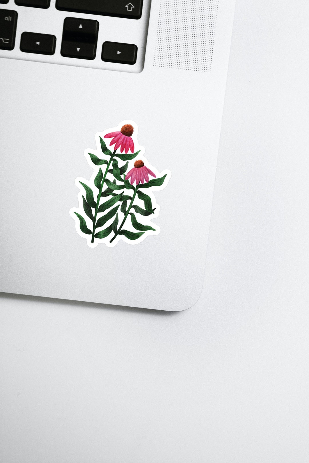 Purple Coneflower Sticker: Weatherproof Echinacea Decal for Laptop ...