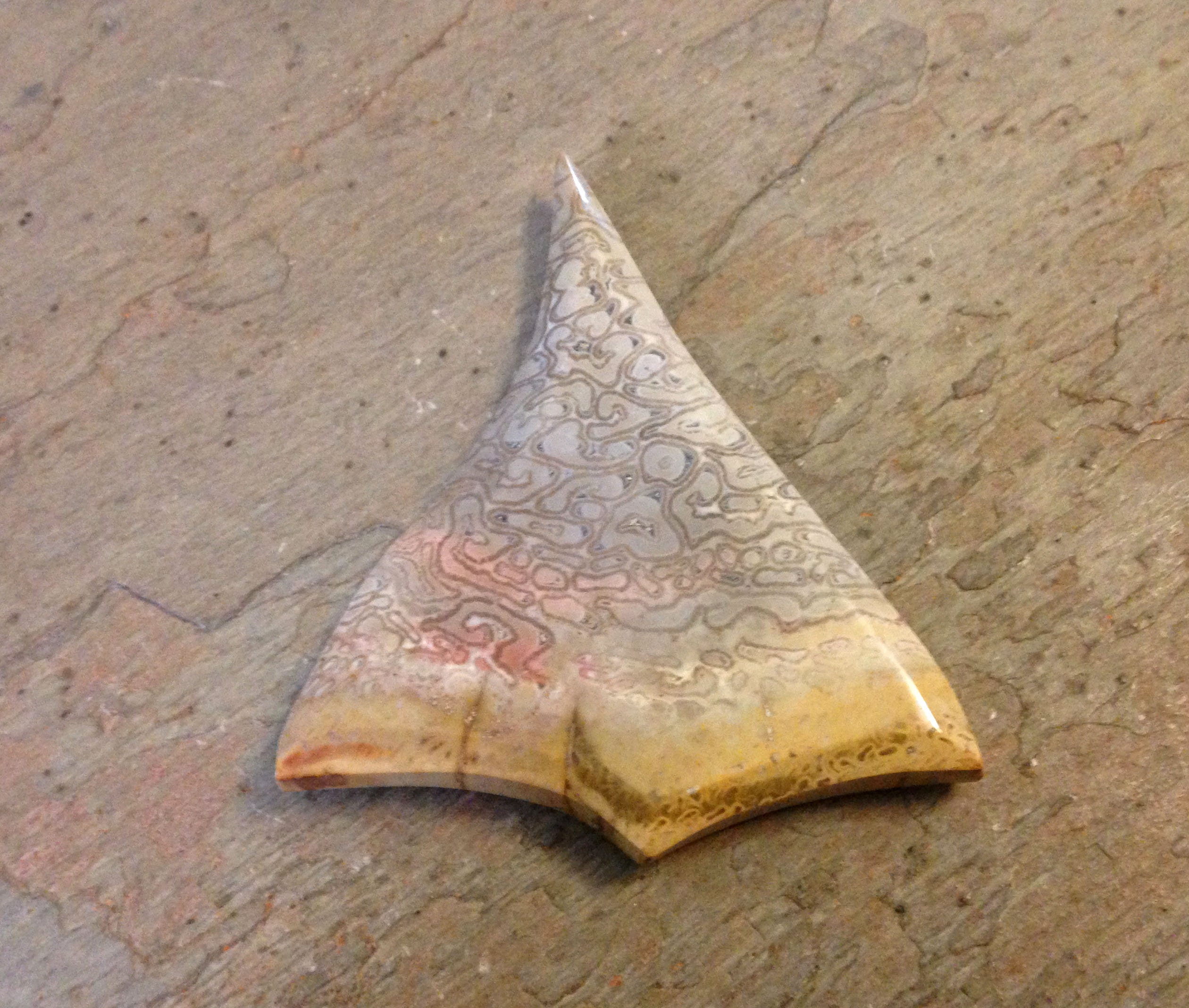 Rare Petrified Tree Fern Psaronius Brasiliensis Cabochon. | Etsy