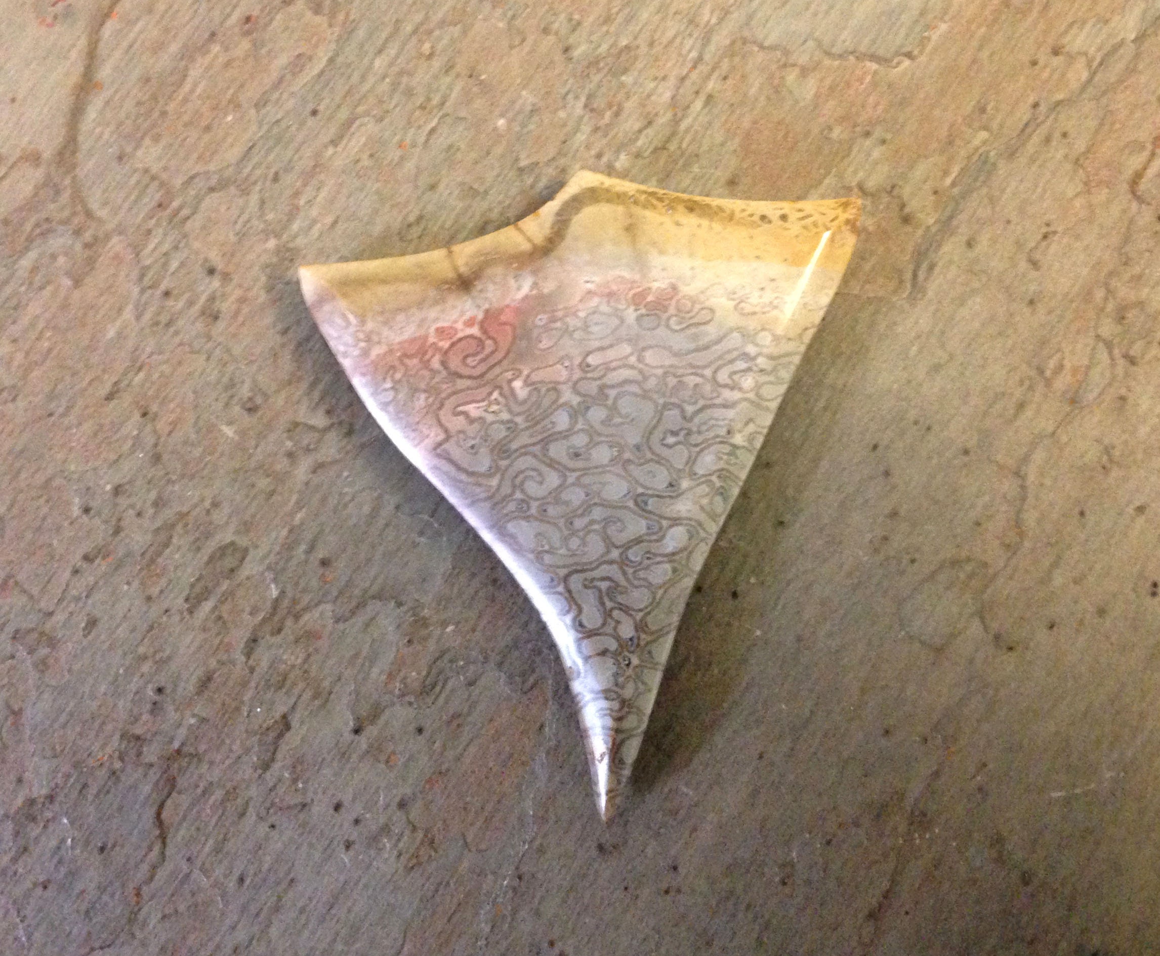 Rare Petrified Tree Fern Psaronius Brasiliensis Cabochon. | Etsy