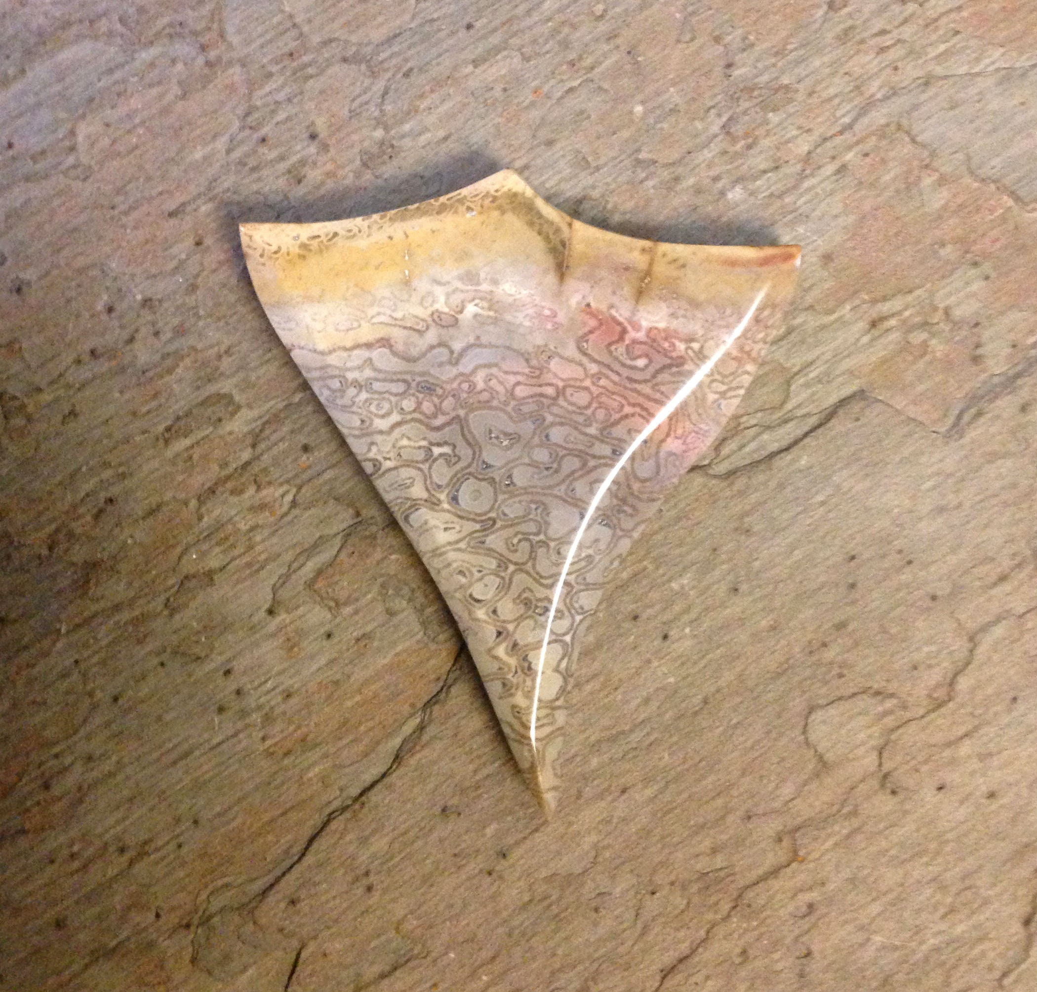 Rare Petrified Tree Fern Psaronius Brasiliensis Cabochon. | Etsy