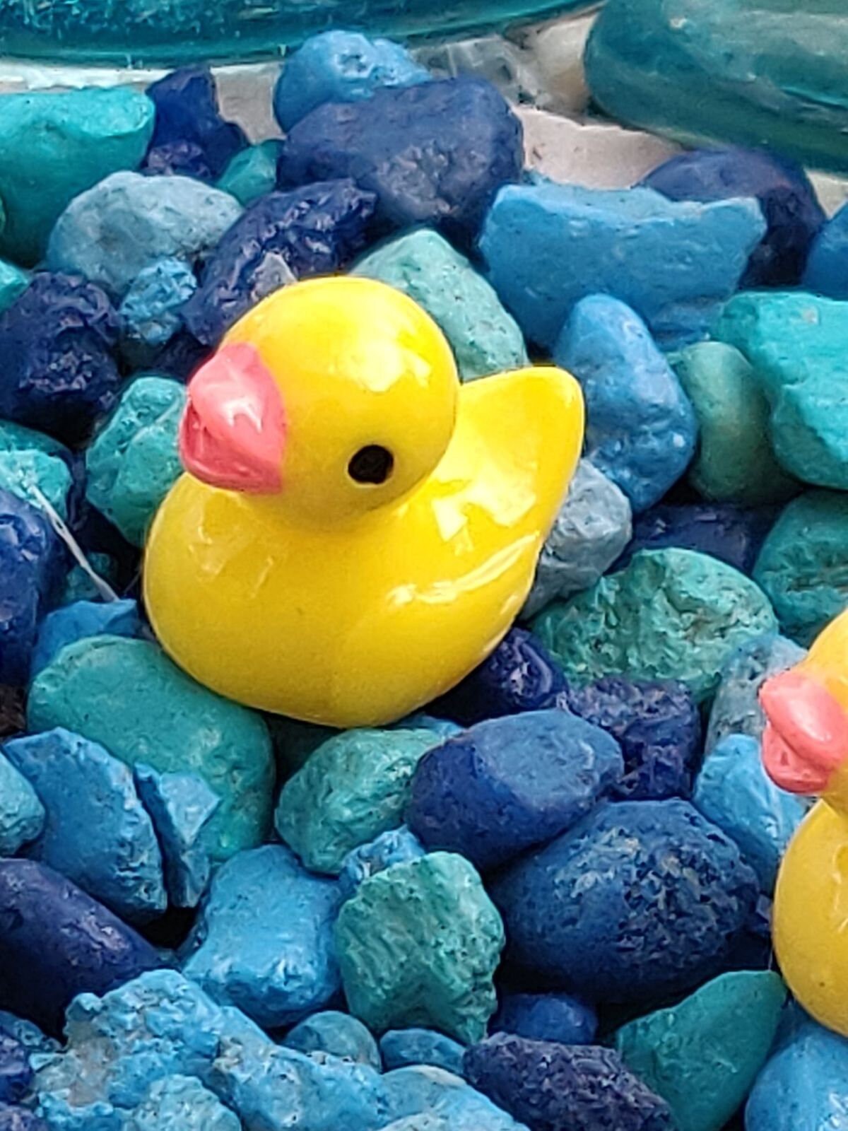 Miniature Yellow Ducks Yellow Ducks Cute Ducks Mini Ducks | Etsy