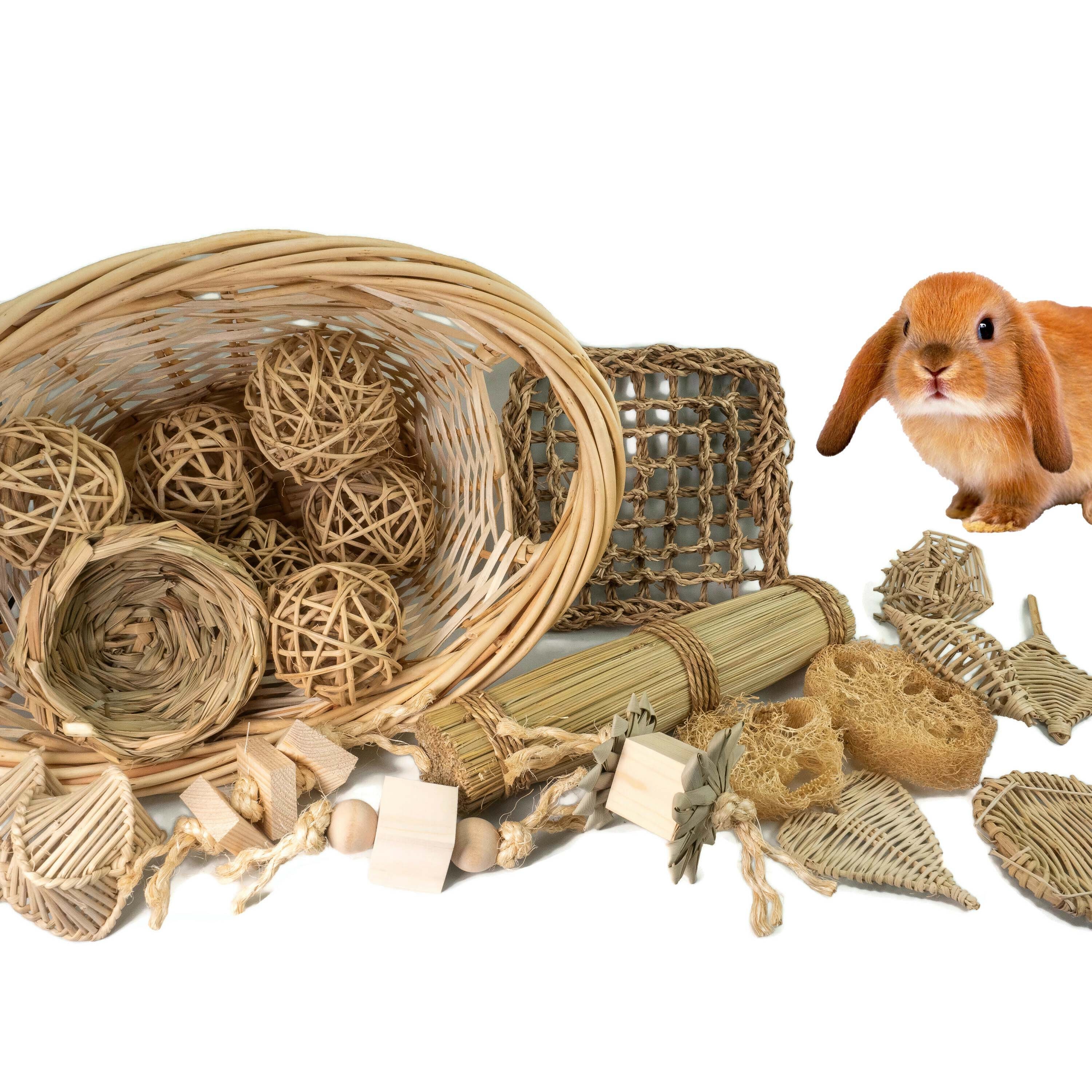 Rat Gone Wild Fuzz Bunny Clipart