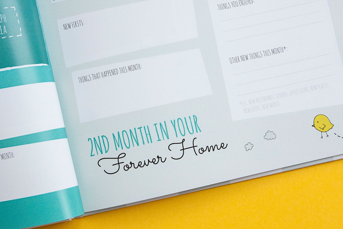 Adoption Record Book. Adoption Journal Adoption Gift - Etsy