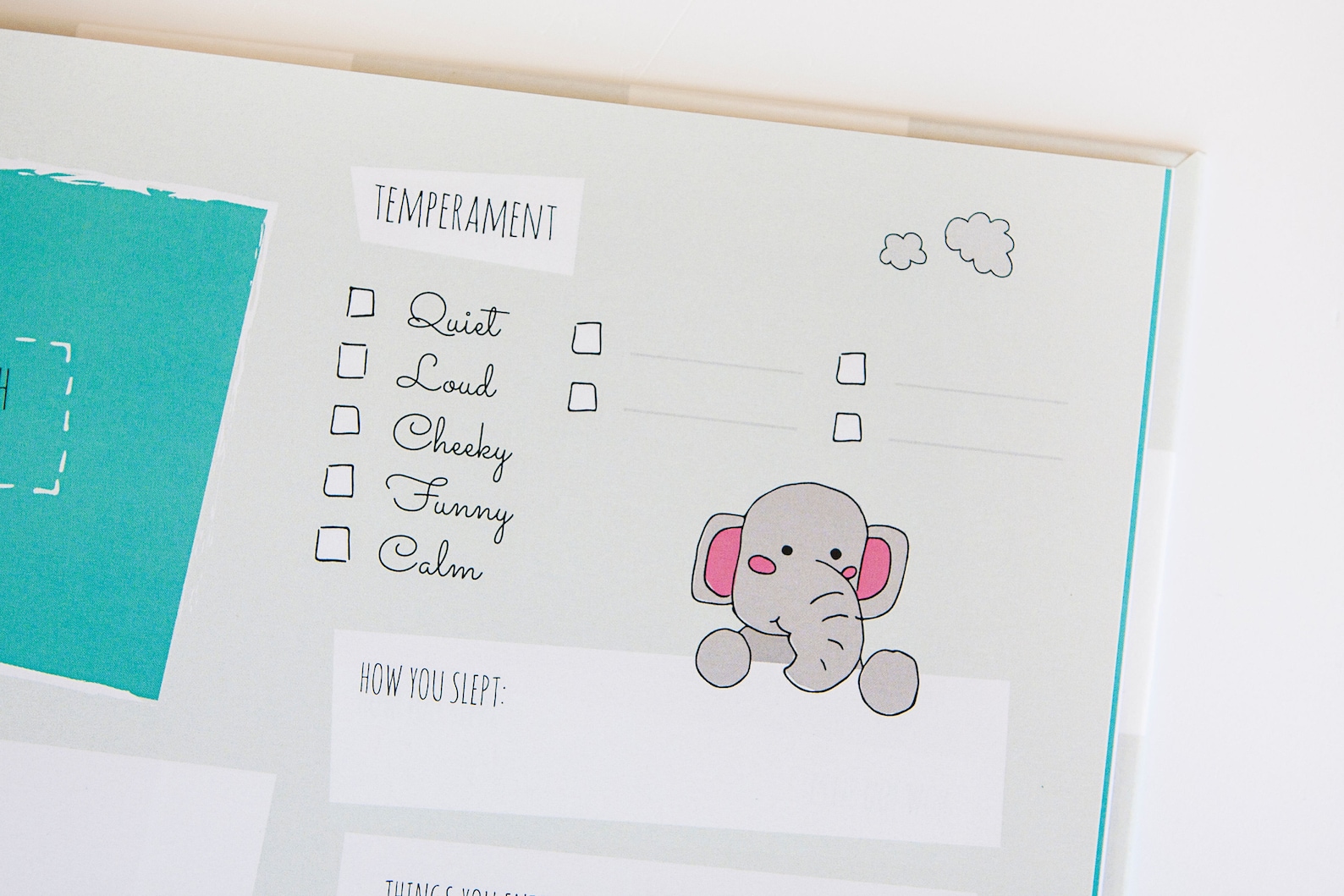 Adoption Record Book. Adoption Journal, Adoption Gift, Adoption Baby ...