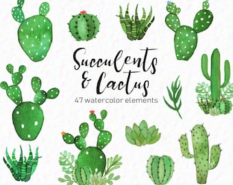 Handpainted Watercolor Cactus - Cactus Clipart - Watercolor Succulents ...