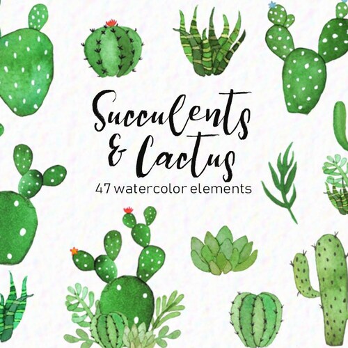 Watercolor Succulents Clipart Floral Clip Art Succulent | Etsy
