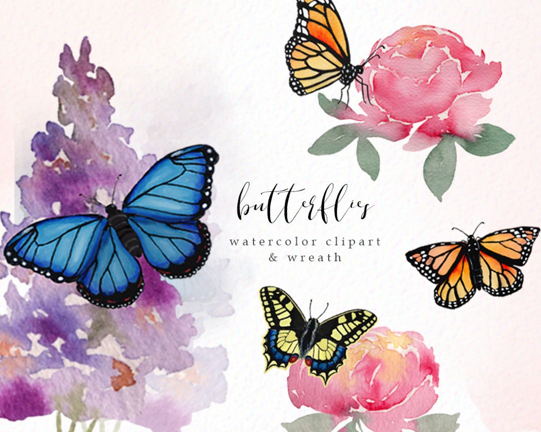 Watercolor Butterflies Butterfly Clipart Watercolor - Etsy