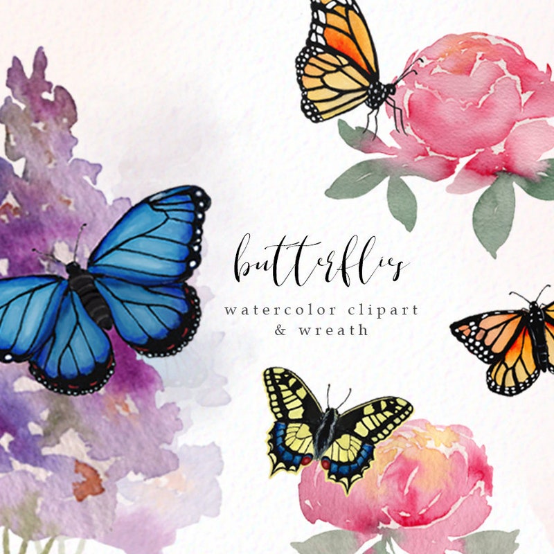 Watercolor Butterfly - Etsy