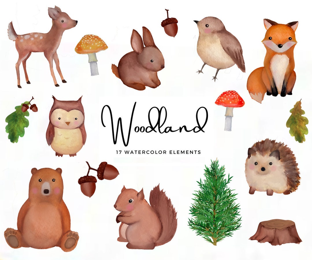 Woodland Watercolor Watercolor Animals Forest Clipart Woodsy Nature ...
