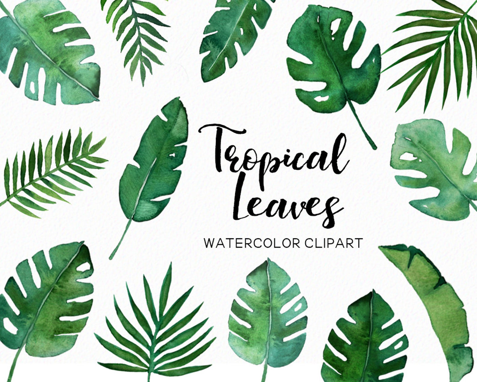 Watercolor Tropical Leaves Tropical Clipart Watercolor - Etsy