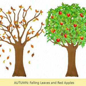 Seasonal Clipart - Seasonal Trees - Fall Clipart - Spring Clip Art ...