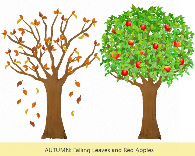 Seasonal Clipart Seasonal Trees Fall Clip Art Spring - Etsy