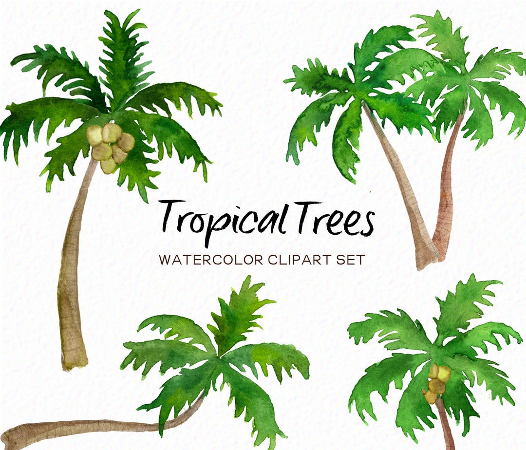 Watercolor Tropical Trees-tropical Clipart-watercolor Palm Trees ...