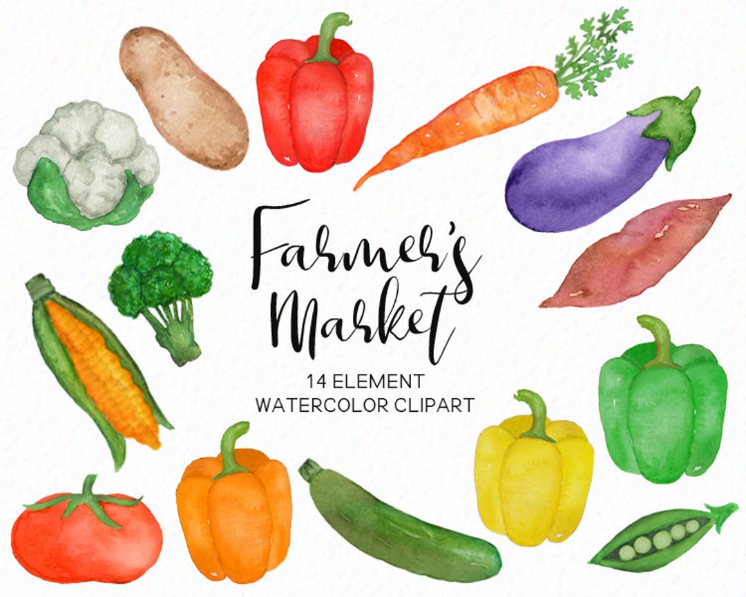 Handpainted Vegetable Clipart: Watercolor Veggies (commercial Use) - Etsy