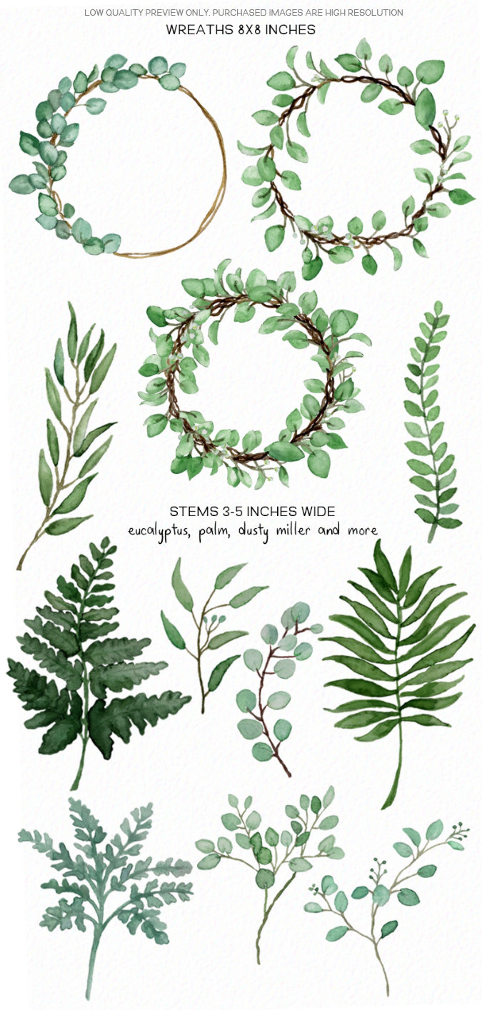 Watercolor Greenery Eucalyptus Clipart Watercolor Fern - Etsy