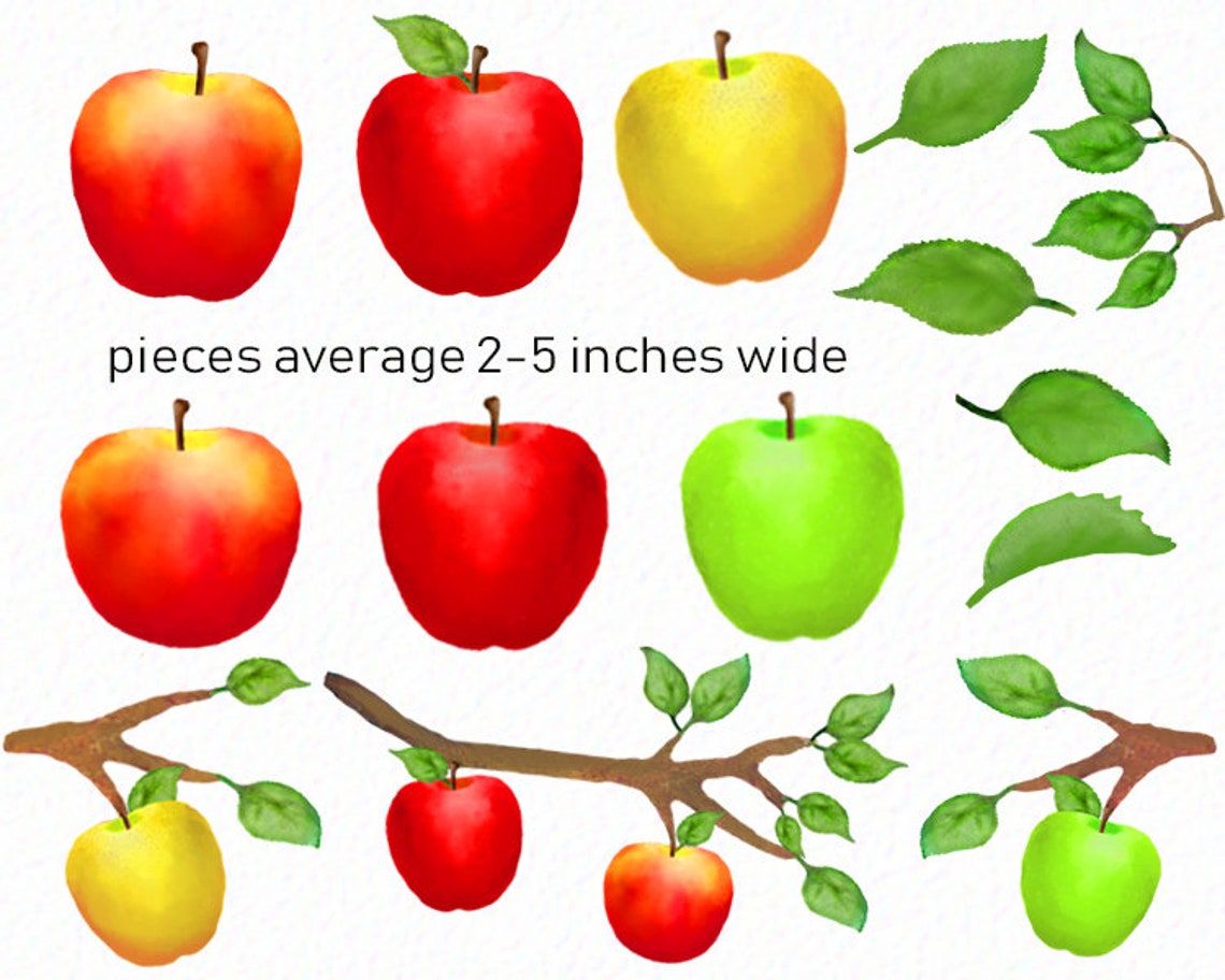 Apple Clip Art Watercolor Apples Fruit Clip Art Fall Clip | Etsy