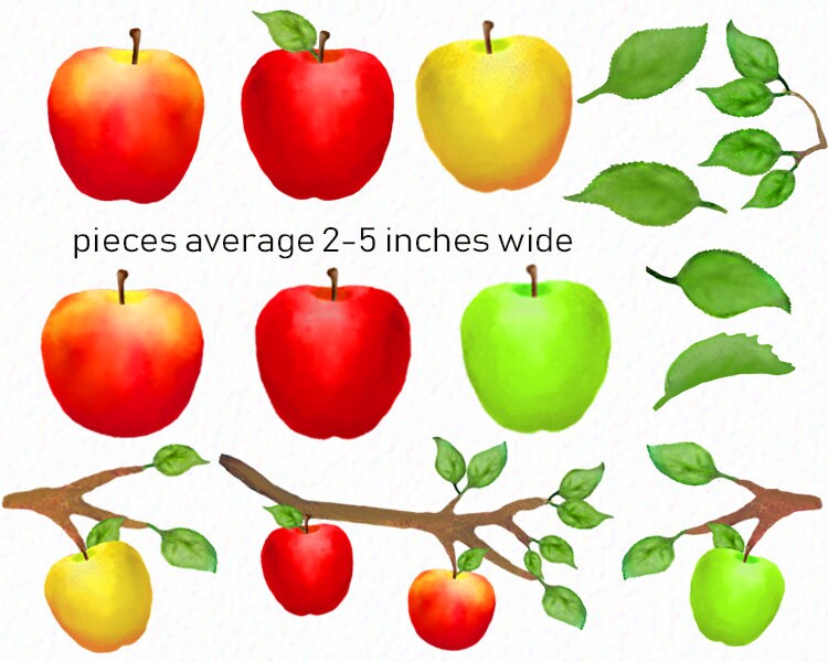 Apple Clip Art Watercolor Apples Fruit Clip Art Fall Clip | Etsy