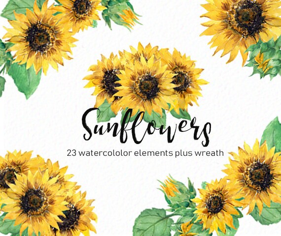 Sunflower Clip Art Watercolor Sunflowers Flower Clip Art - Etsy