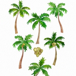 Watercolor Tropical Trees-tropical Clipart-watercolor Palm Trees ...