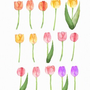Watercolor Tulips Floral Clipart Watercolor Florals Spring Clip Art ...