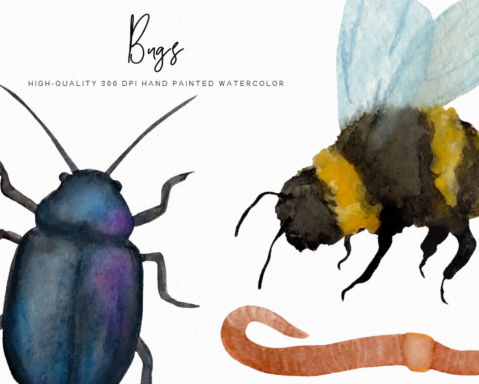 Watercolor Bugs Watercolor Insects Spider Butterfly Clipart - Etsy