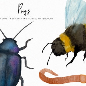 Watercolor Bugs Watercolor Insects Spider Butterfly Clipart Spring ...
