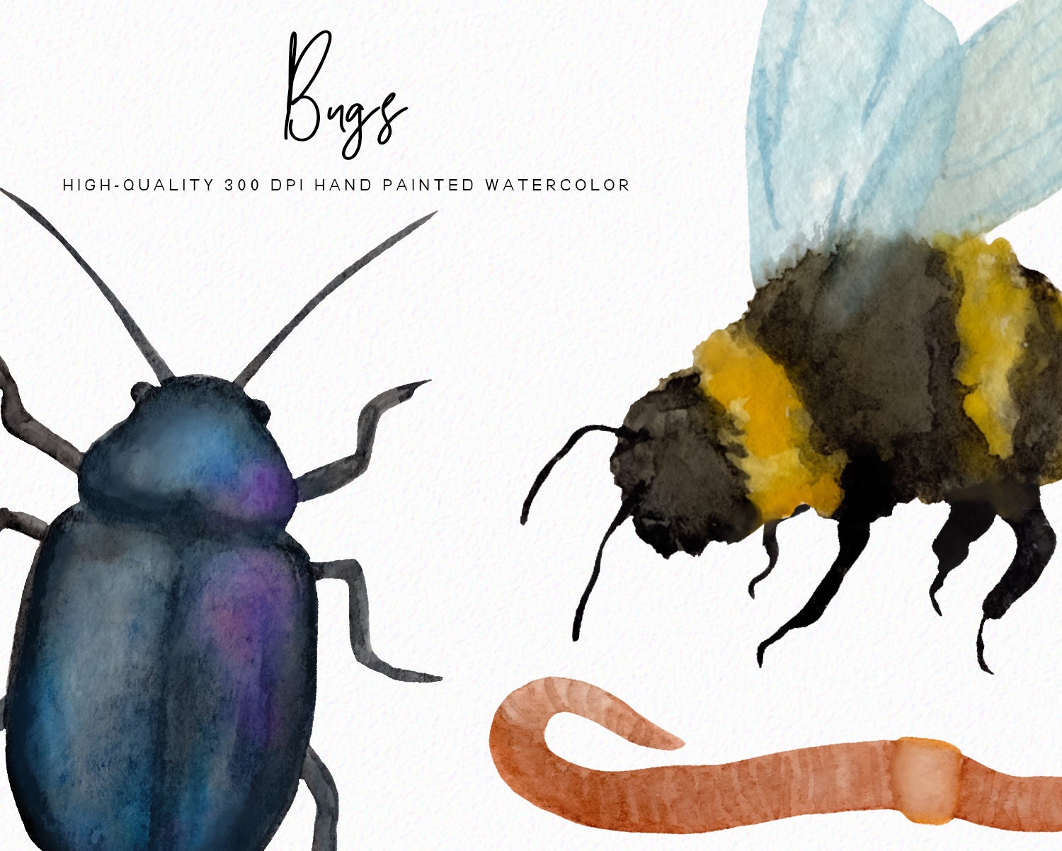 Watercolor Bugs Watercolor Insects Spider Butterfly Clipart - Etsy