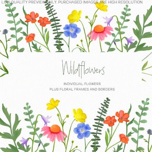 Wildflower Clipart, Botanical Hand Drawn Floral Png Files, Spring ...