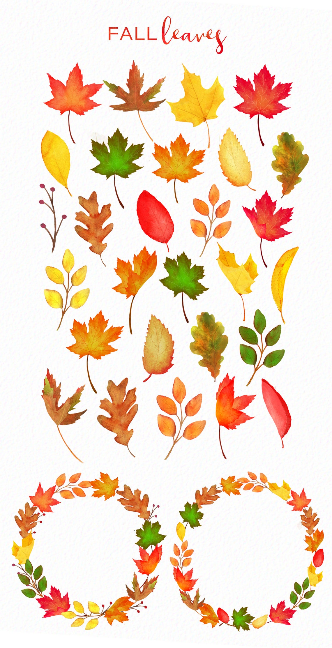 Watercolor Fall Leaf Clipart Fall Leaves fall | Etsy