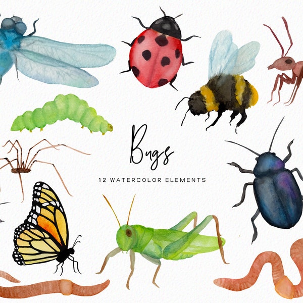 Watercolor Insects - Etsy