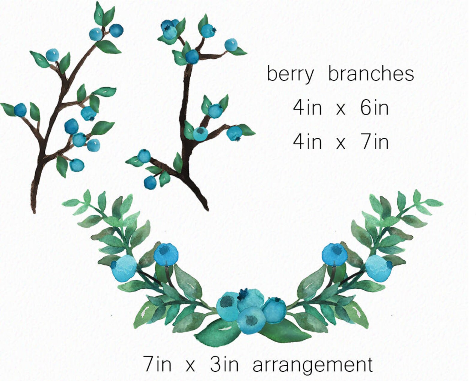 Watercolor Blueberry Clipart Set – Summer Fruit Graphics (digital ...