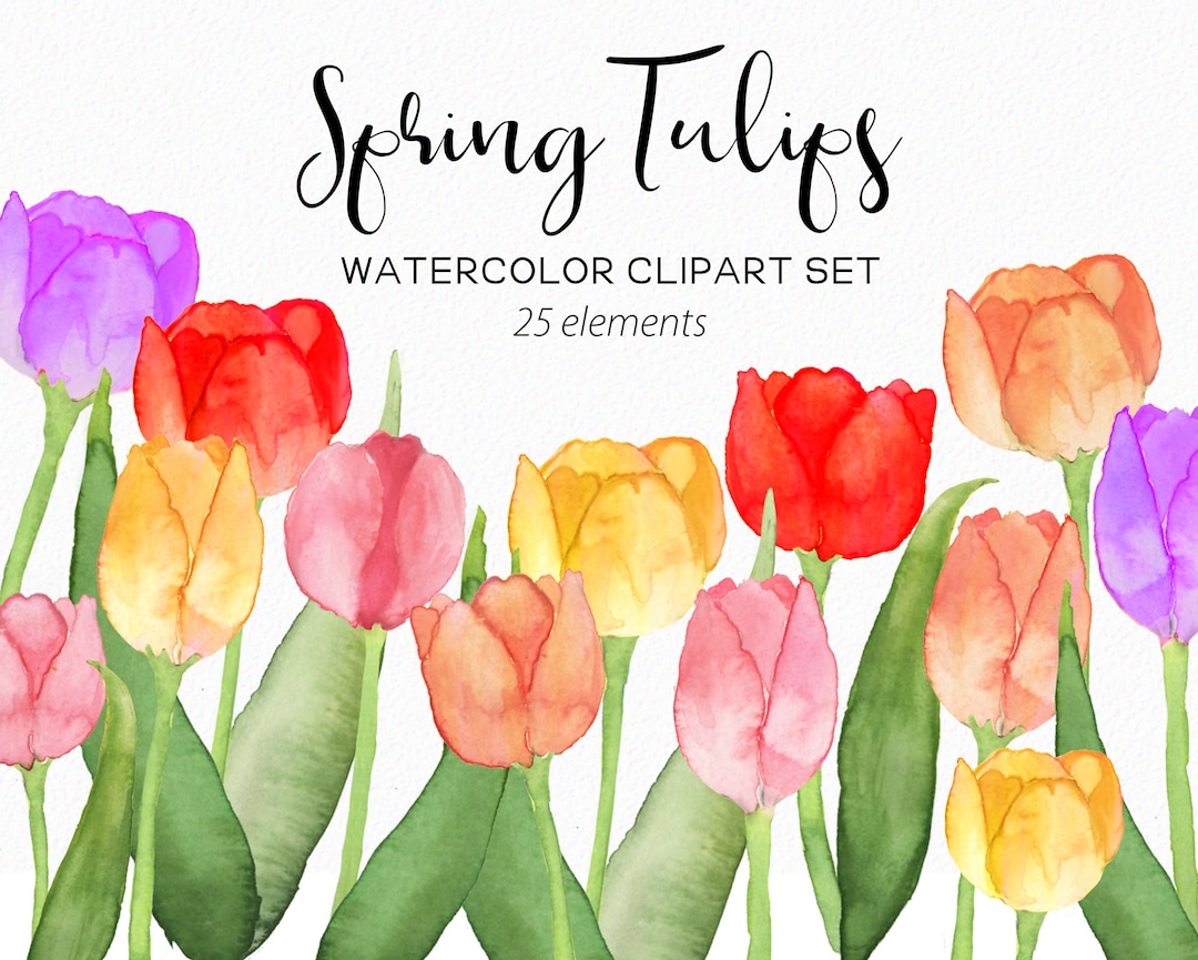 Watercolor Tulips Floral Clipart Watercolor Florals Spring Clip Art ...