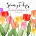 Watercolor Tulips Floral Clipart Watercolor Florals Spring Clip Art ...