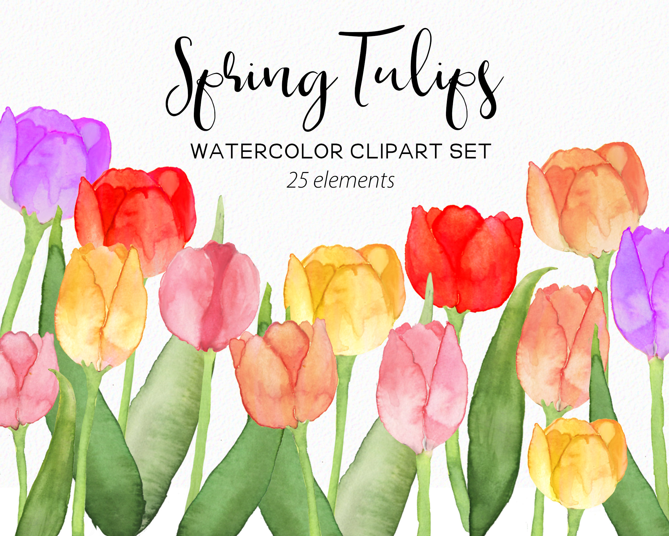Watercolor Tulips Floral Clipart Watercolor Florals - Etsy