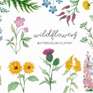 Wildflower Clipart Botanical Hand Drawn Watercolor Floral Png - Etsy