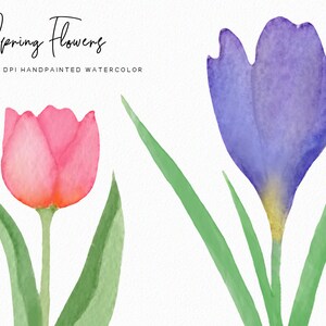 Handpainted - Watercolor Flower Clipart, Botanical Hand Painted Florals ...