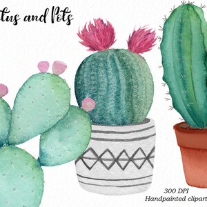 Watercolor Cactus Succulent Clipart Watercolor Succulents cactii ...