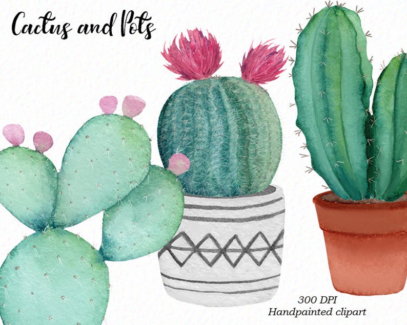 Watercolor Cactus Succulent Clipart Watercolor Succulents | Etsy